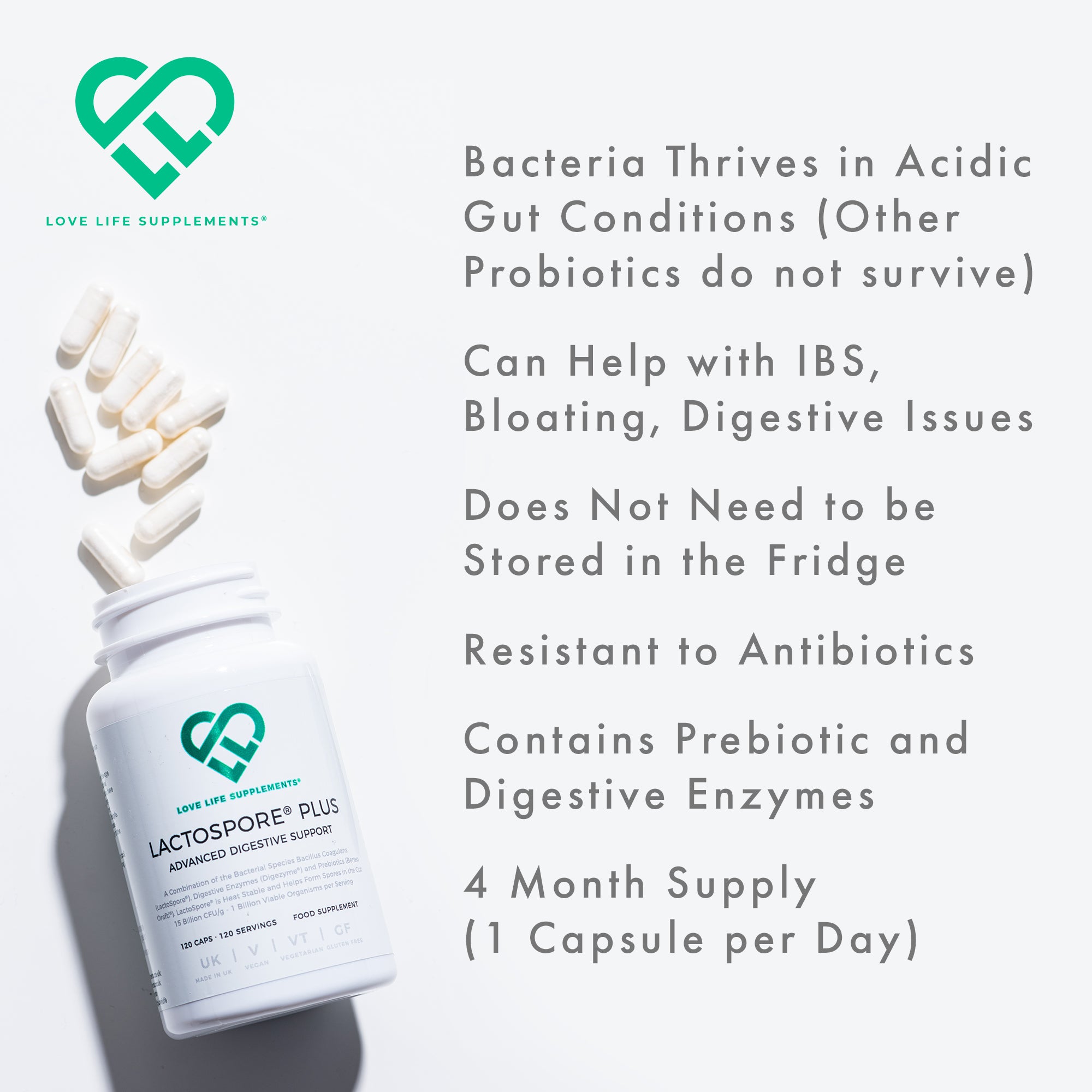 LactoSpore® Plus Capsules - Probiotic Supplement – Love Life Supplements