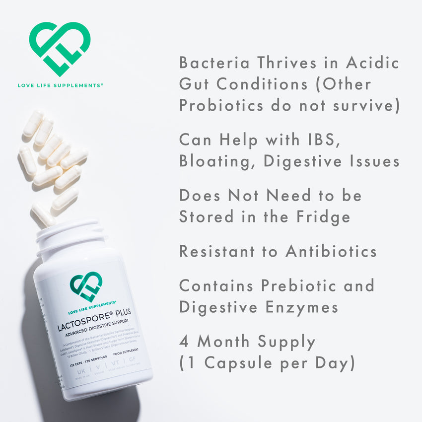 LactoSpore® Plus Capsules - Probiotic Supplement – Love Life Supplements