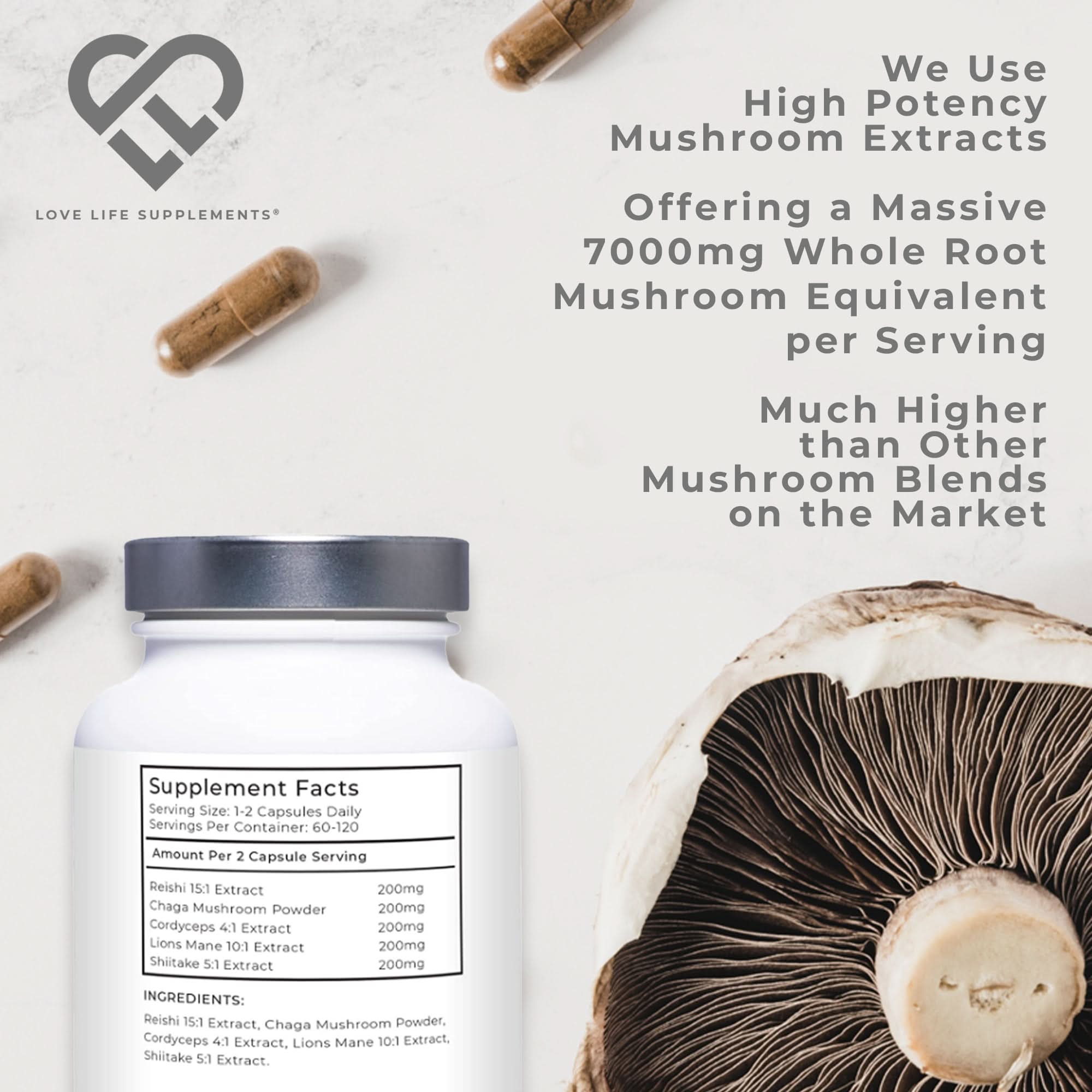 Mushroom Complex supplement – Love Life Supplements