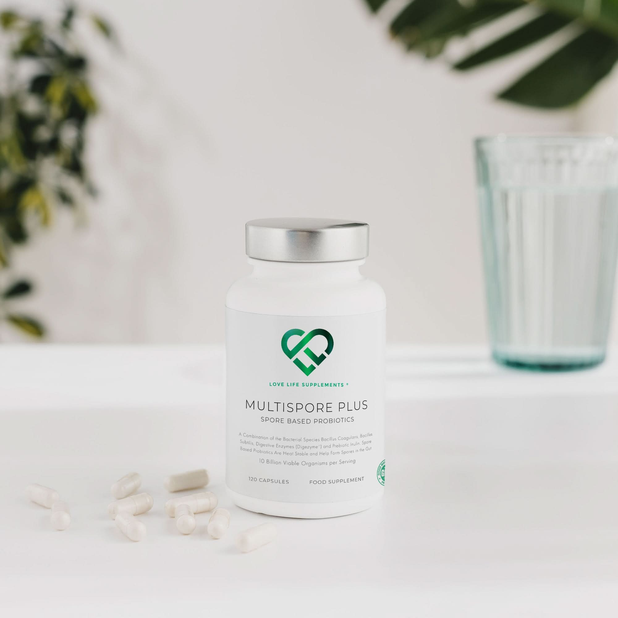 LactoSpore® Plus Capsules - Probiotic Supplement – Love Life Supplements
